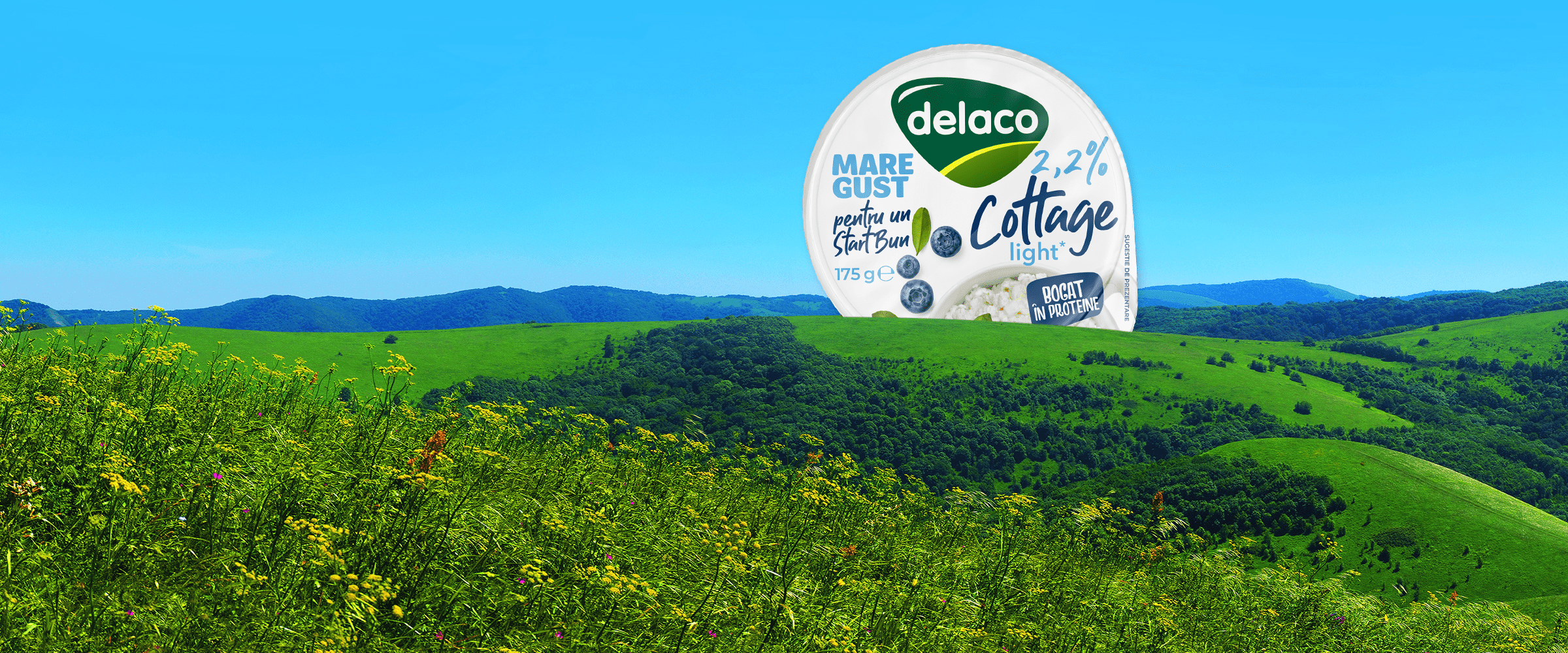 COTTAGE LIGHT 2.2% - Delaco