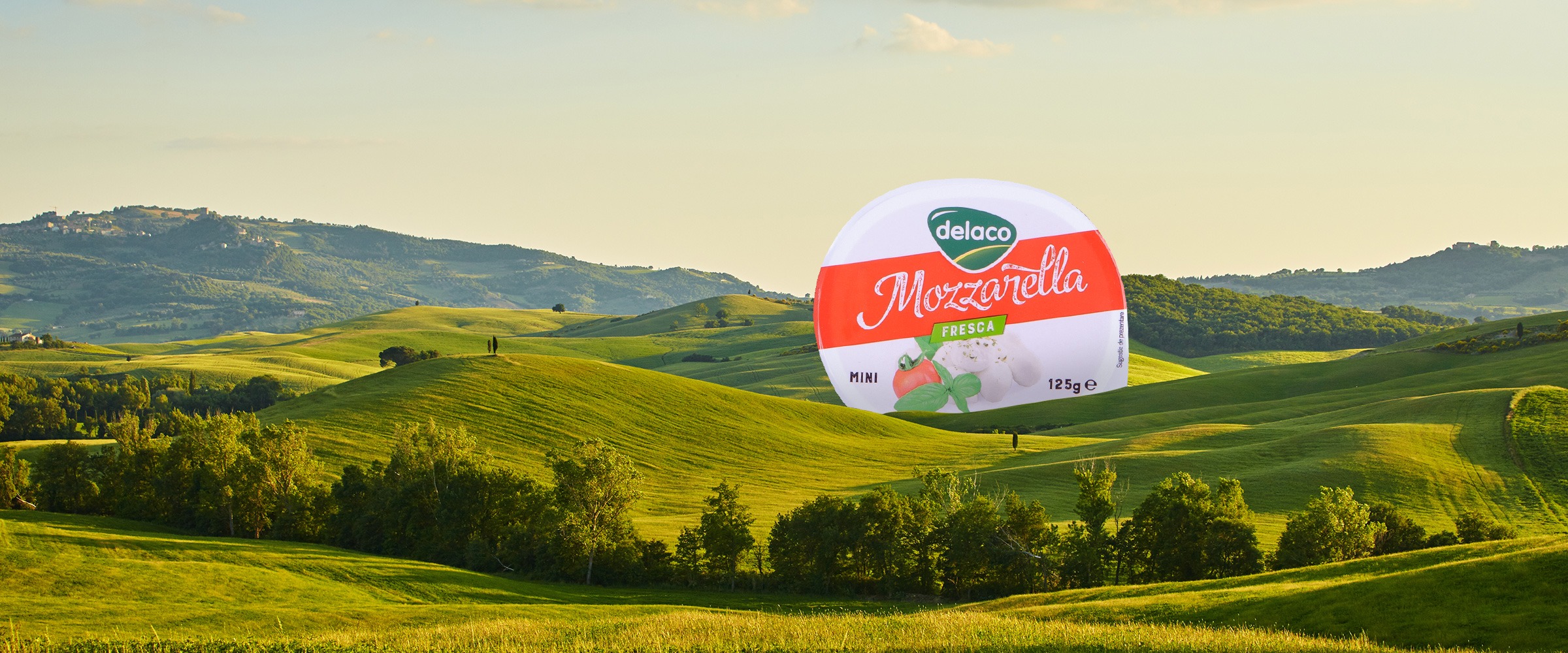 MOZZARELLA MINI - Delaco